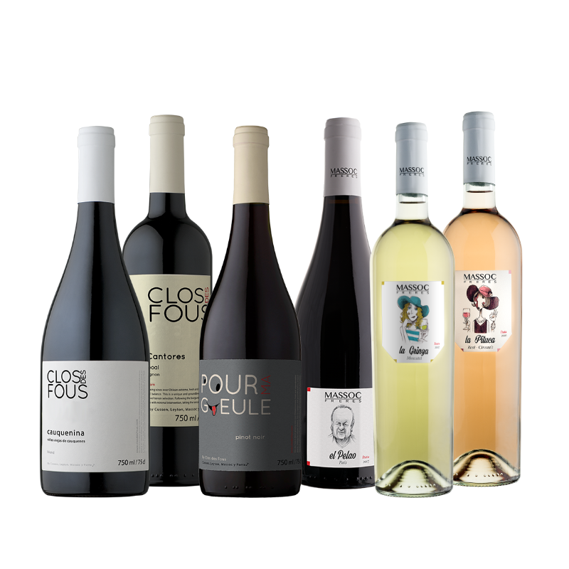 Nosotros - Wine in Conce