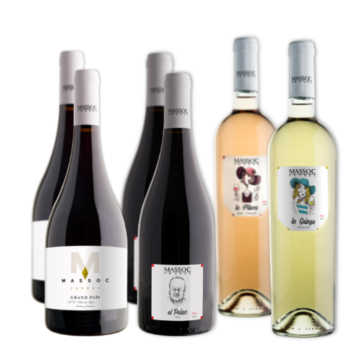 Wine in Conce - la primera tienda de vinos del Sur de Chile