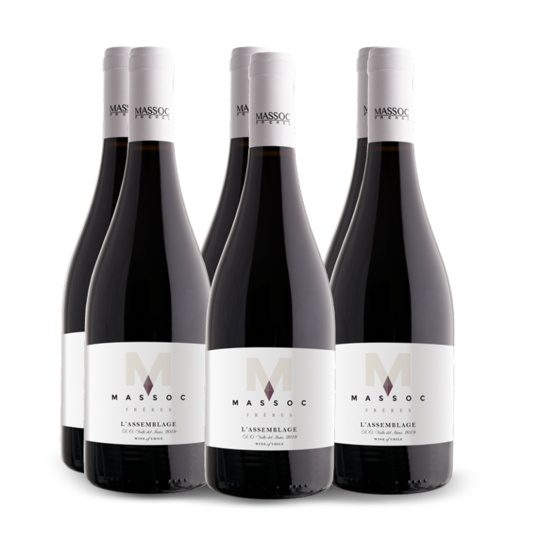 Inicio - Wine in Conce